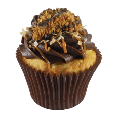 Mini Thackery Binx | Sweet Cupcasions